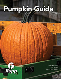 Pumpkin Guide | Vegetables | Rupp Seeds