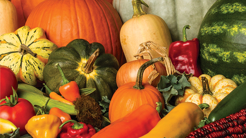 Welcome to Rupp Seeds