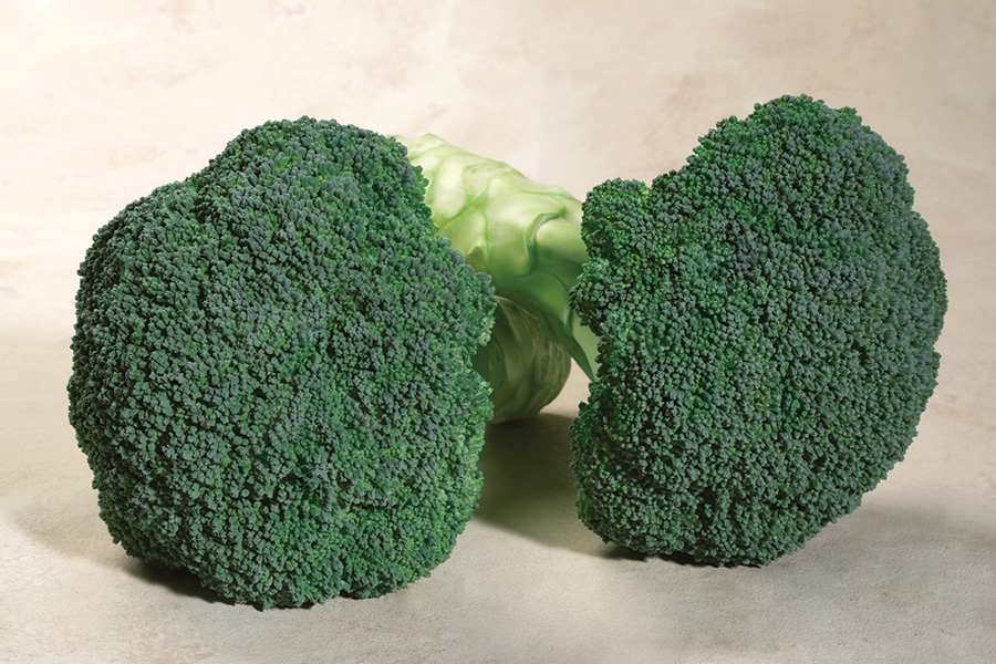 Emerald Crown | Broccoli | Products | Vegetables | Rupp Seeds