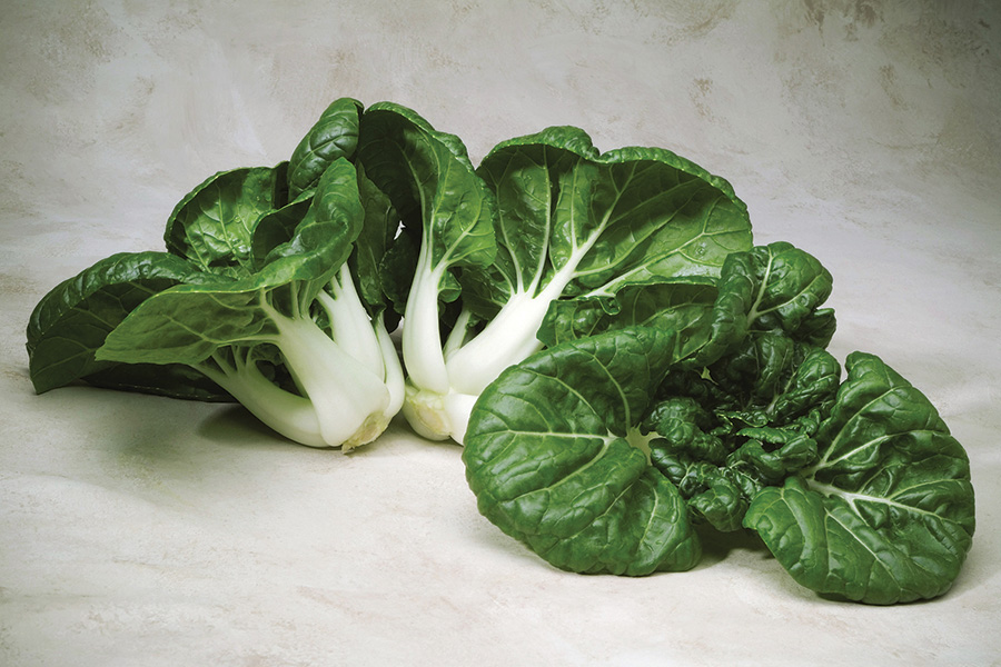 Toy Choy | Chinese Pak-Choi | Cabbage | Products | Vegetables | Rupp Seeds