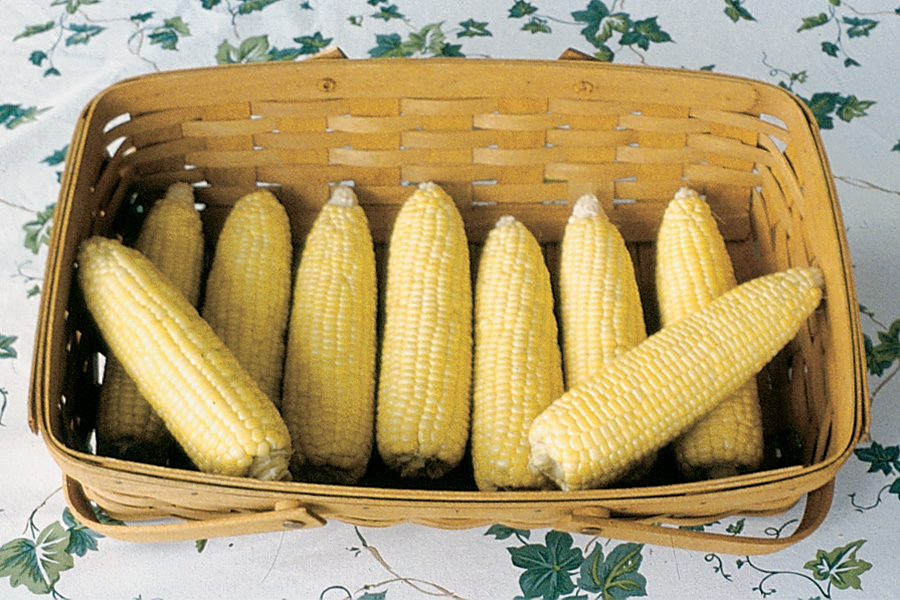 Gold Nuggets | Yellow | Sweet Corn | Corn | Products | Vegetables ...