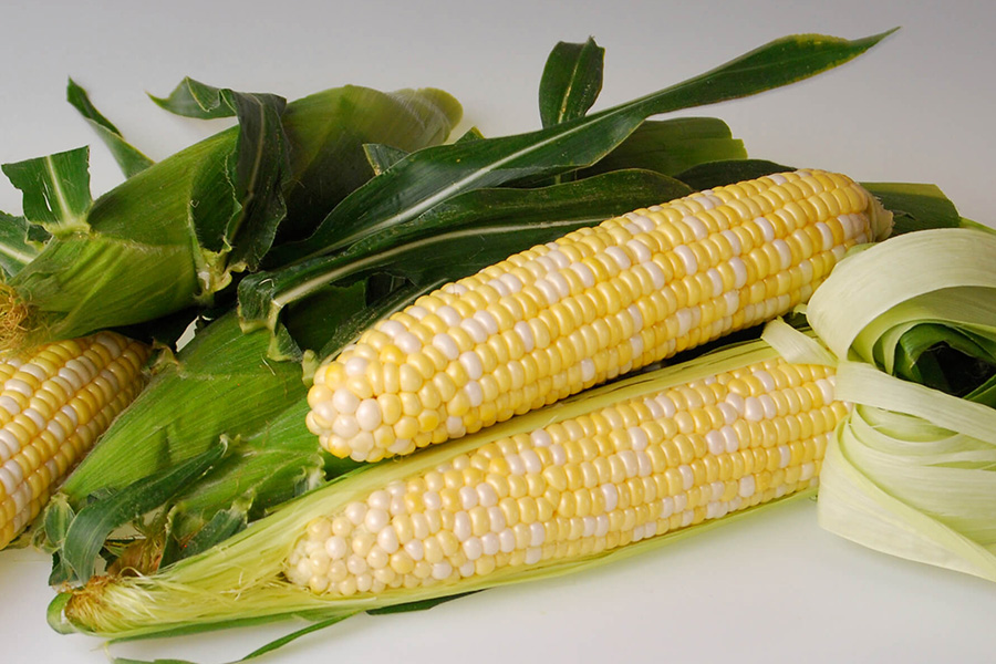 Sweetness | Bi-Color | Sweet Corn | Corn | Products | Vegetables | Rupp ...