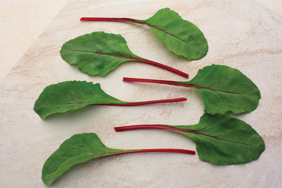 Fire Fresh | Greens | Products | Vegetables | Rupp Seeds