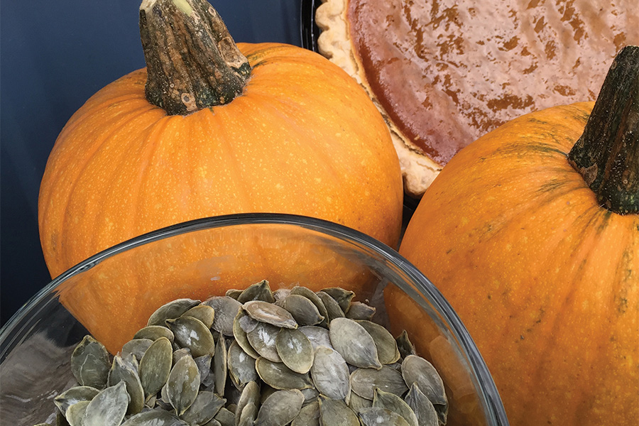 Naked Bear | Specialty | Pumpkins | Products | Vegetables | Rupp Seeds