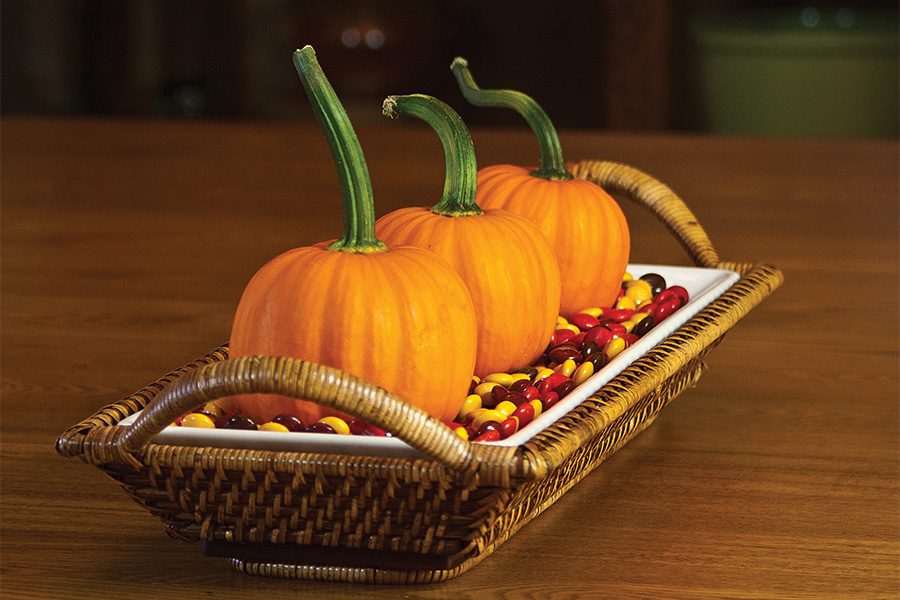 WeeeeeOne Blend | Miniature | Pumpkins | Products | Vegetables | Rupp Seeds