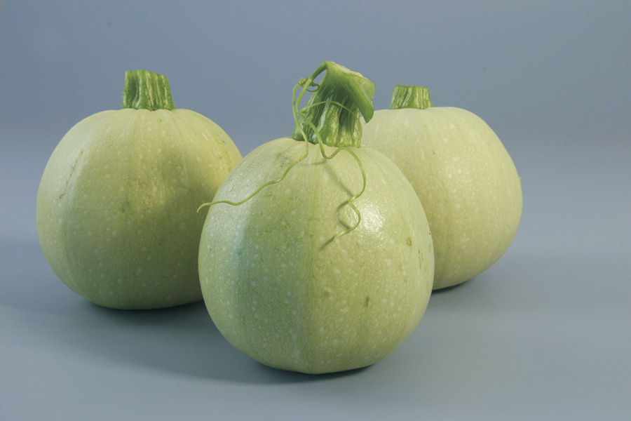 Cue Ball | Summer Green | Summer Squash | Squash | Products ...