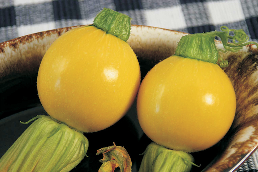One Ball | Summer Yellow | Summer Squash | Squash | Products ...