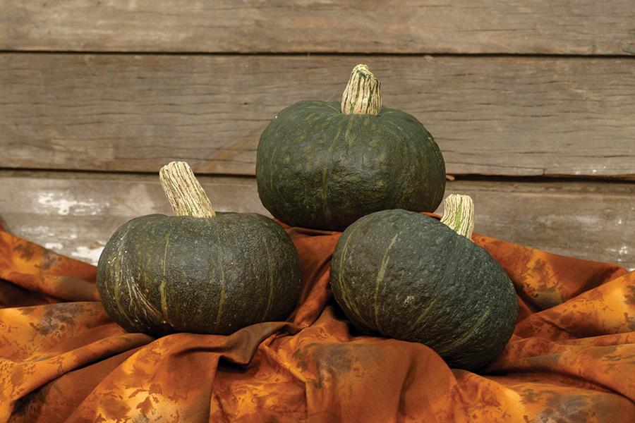 Space Station | Winter Buttercup / Kabocha | Winter Squash | Squash ...