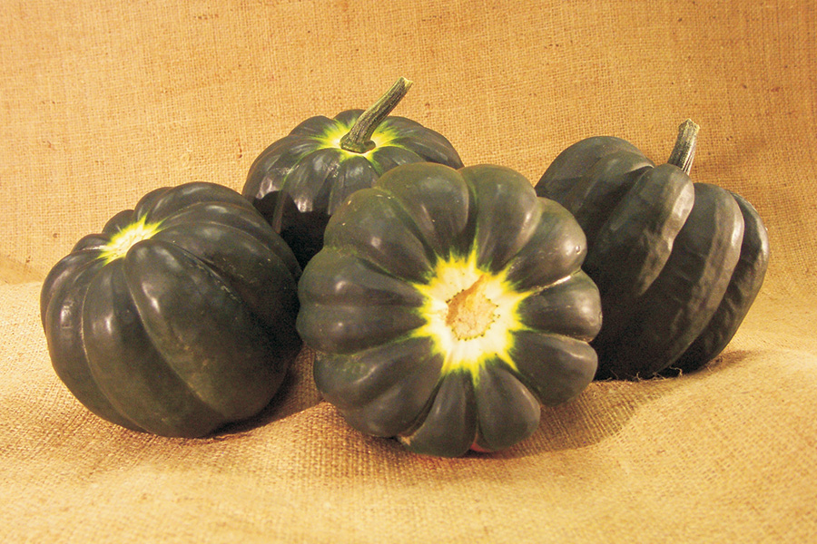 Table Star | Winter Acorn | Winter Squash | Squash | Products ...