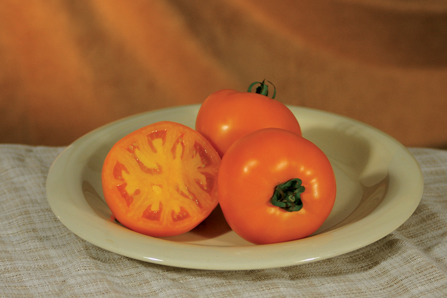 BHN-871 | Fresh Market | Tomatoes | Products | Vegetables | Rupp Seeds