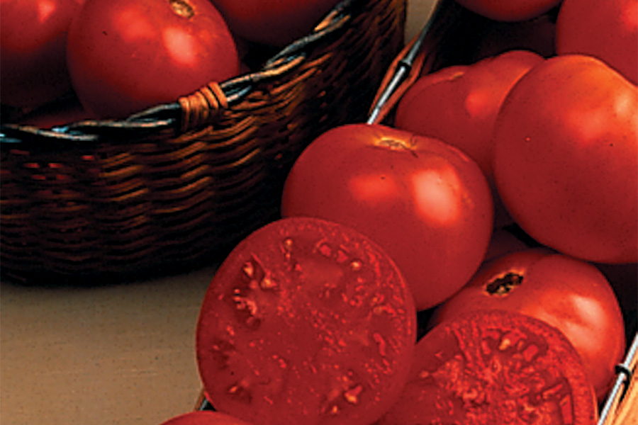 Florida 47 R | Fresh Market | Tomatoes | Products | Vegetables | Rupp Seeds