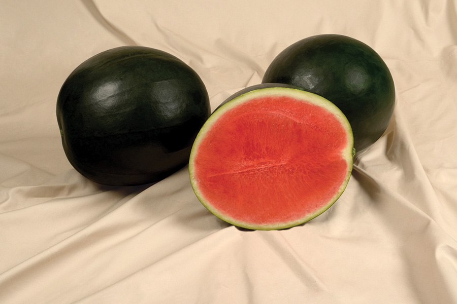 Sweet Gem | Triploid (Seedless) | Watermelons | Products | Vegetables ...